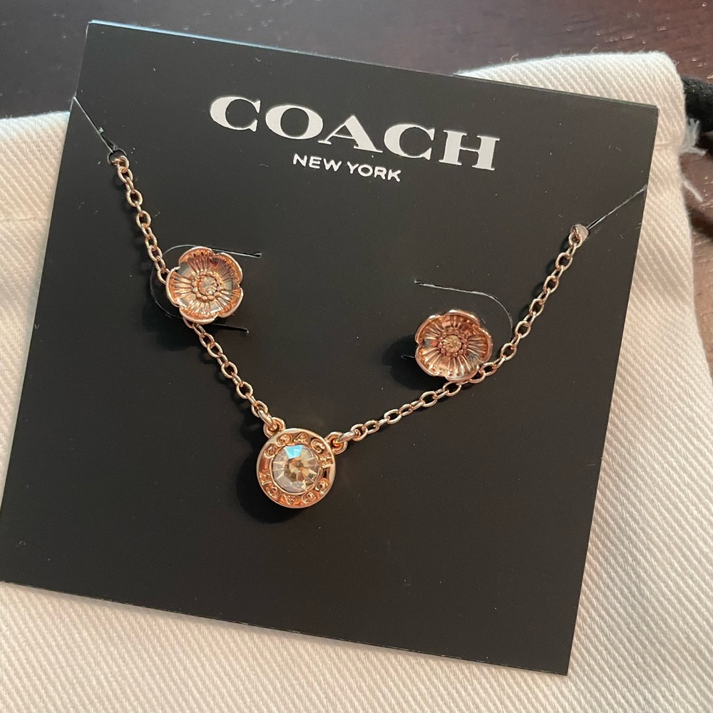 Coach Rose Gold Necklace Earring Set - Gem